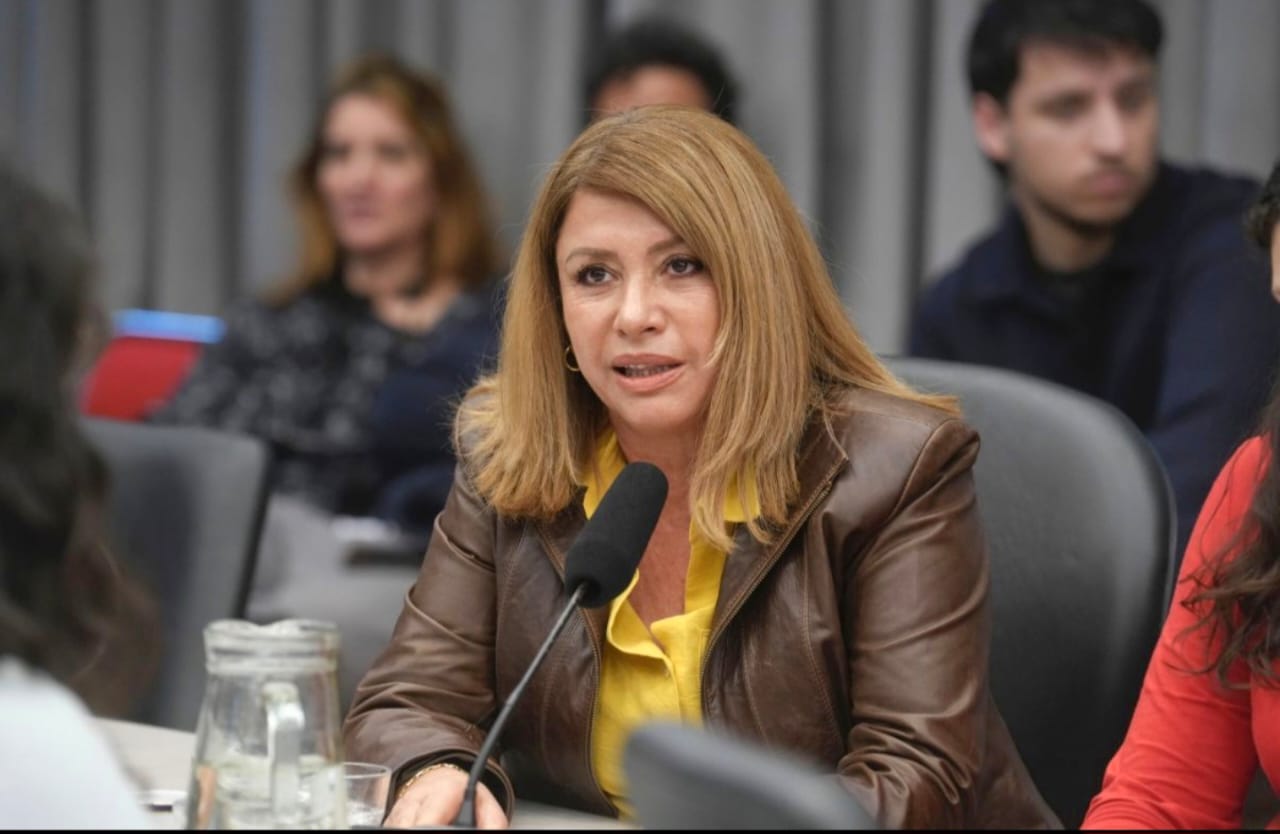 Diputada Litza: “El único que no la ve es el propio Milei” » El ...